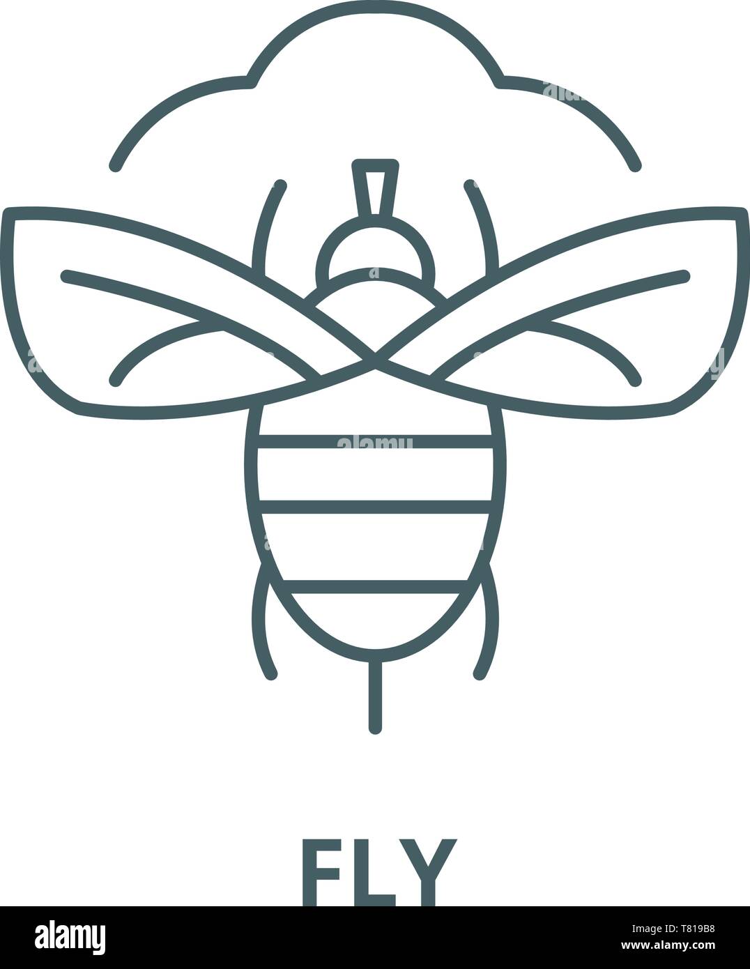 Fly vector line icon, linear concept, outline sign, symbol Stock Vector ...