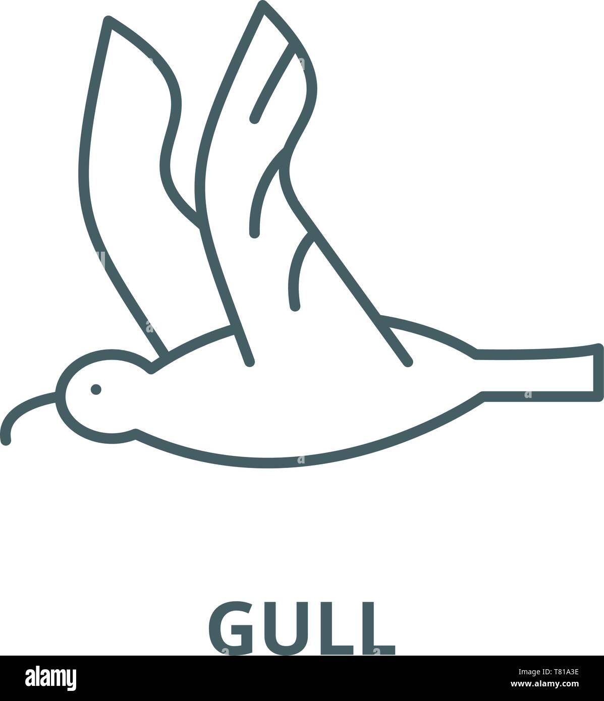 Gull vector line icon, linear concept, outline sign, symbol Stock ...
