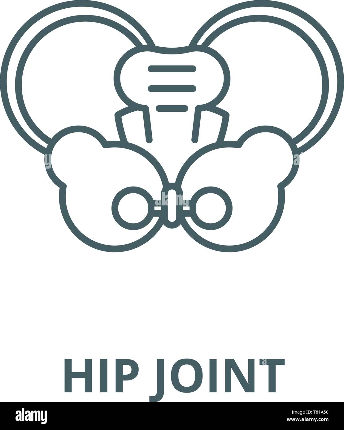 Hip joint vector line icon, linear concept, outline sign, symbol Stock ...