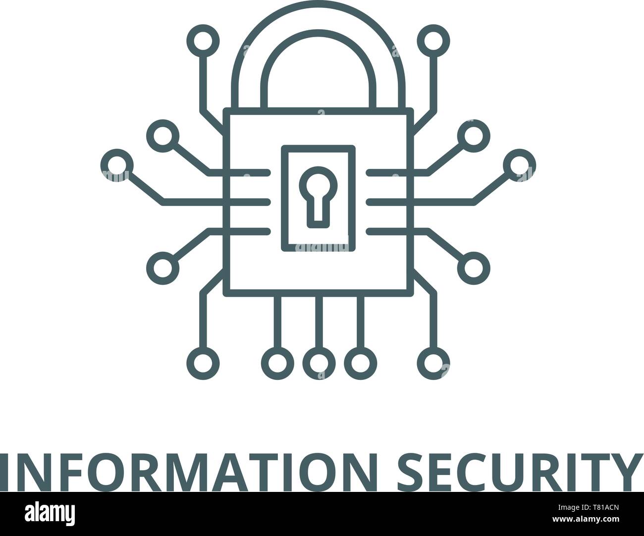 Information security vector line icon, linear concept, outline sign ...