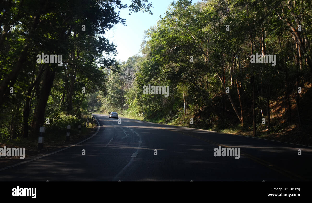 Asphalt road through the forest, gree natural background Stock Photo ...