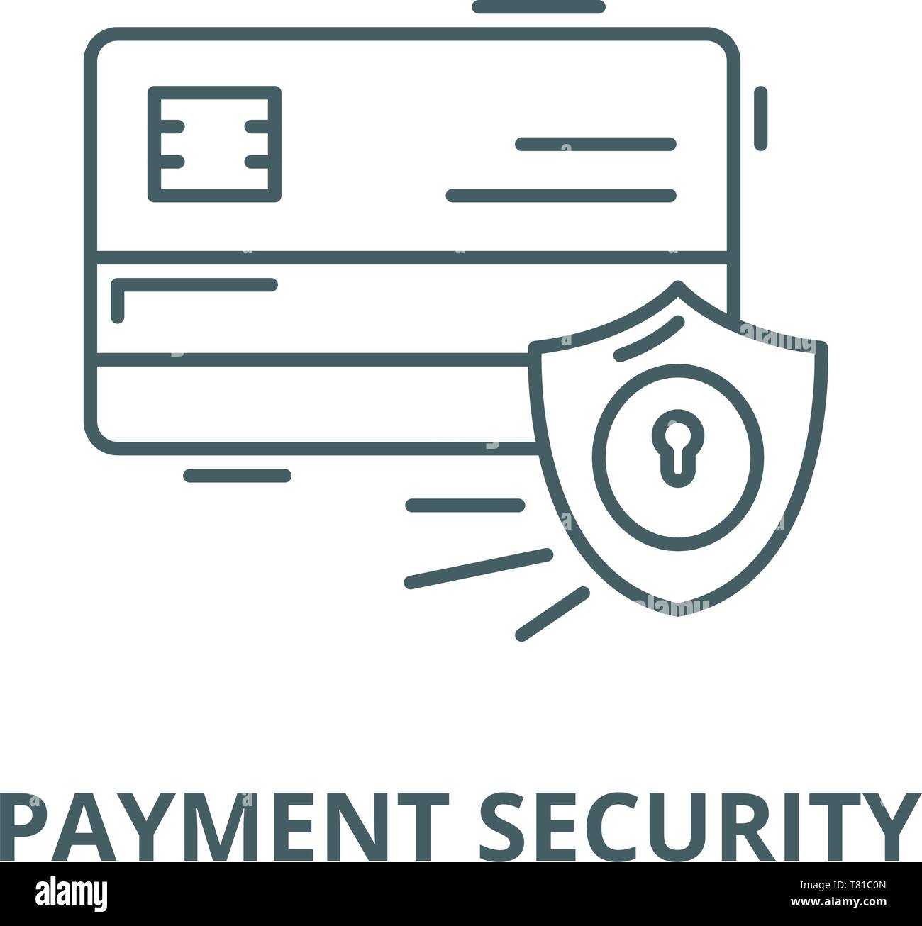 Payment security vector line icon, linear concept, outline sign, symbol ...