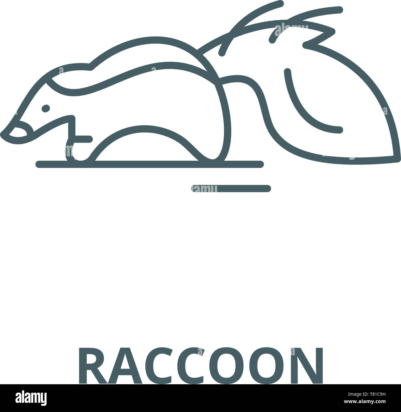 Raccoon vector line icon, linear concept, outline sign, symbol Stock ...