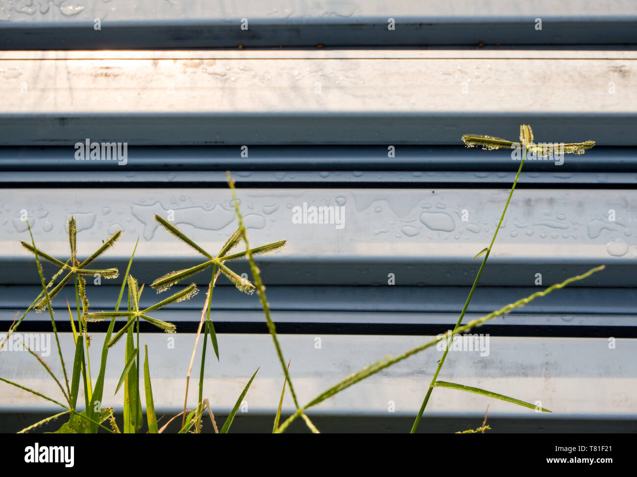 Box sections steel material prepare for the house structure Stock Photo ...