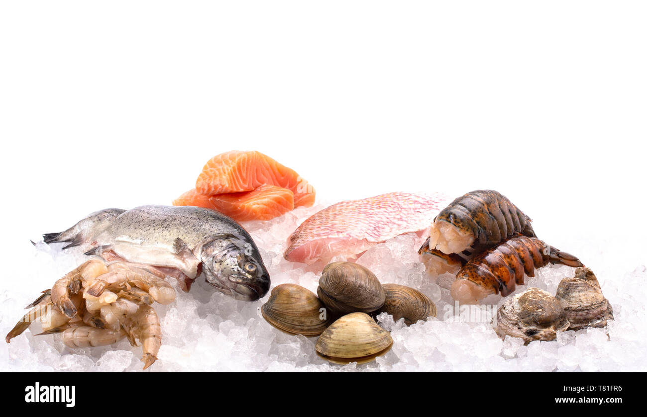 Seafood Laid Out on a Bed of Ice at a Fish Market or Fishmongers Stock ...