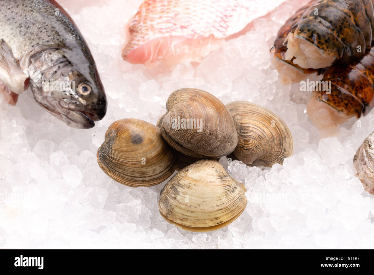 Seafood Laid Out on a Bed of Ice at a Fish Market or Fishmongers Stock ...