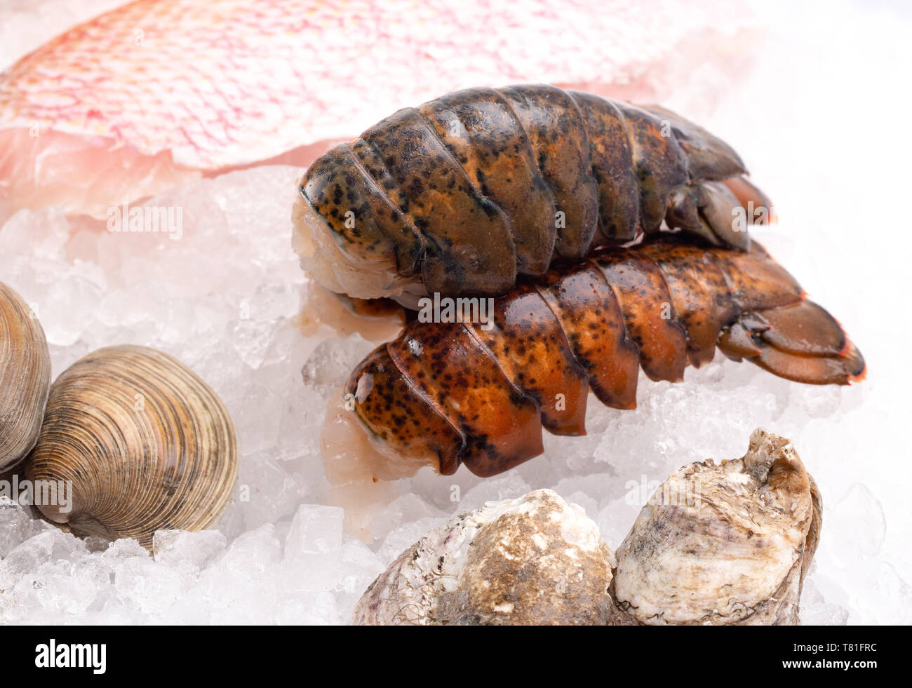 Seafood Laid Out on a Bed of Ice at a Fish Market or Fishmongers Stock ...