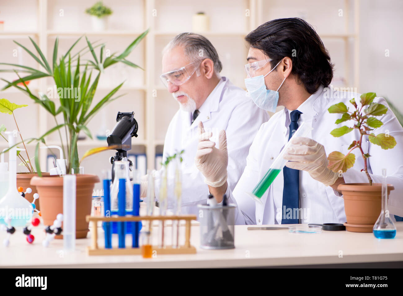 Two chemists working in the lab Stock Photo - Alamy