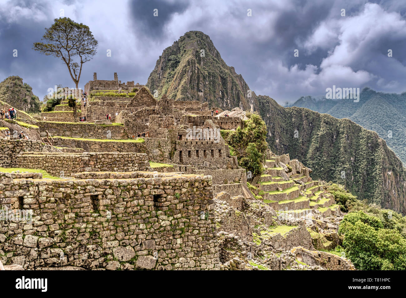 Buildings and houses structures in Incas city of Machu Picchu in Peru ...