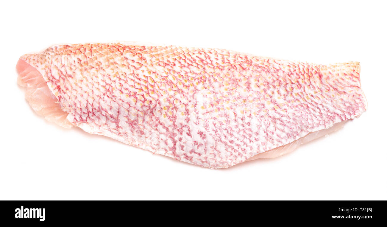 Side of Red Snapper Isolated on a White Background Stock Photo - Alamy