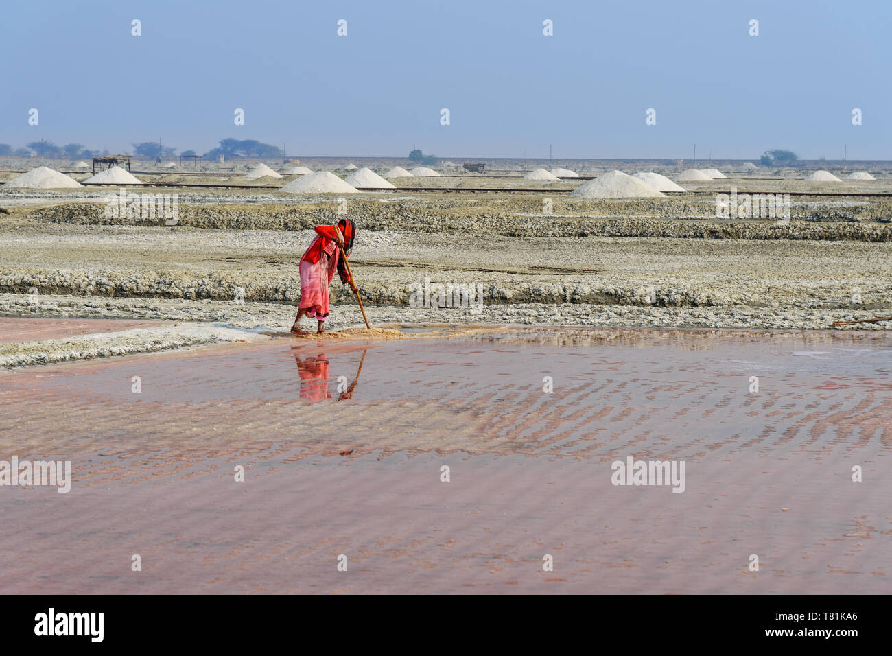 Salt field indian hi-res stock photography and images - Alamy