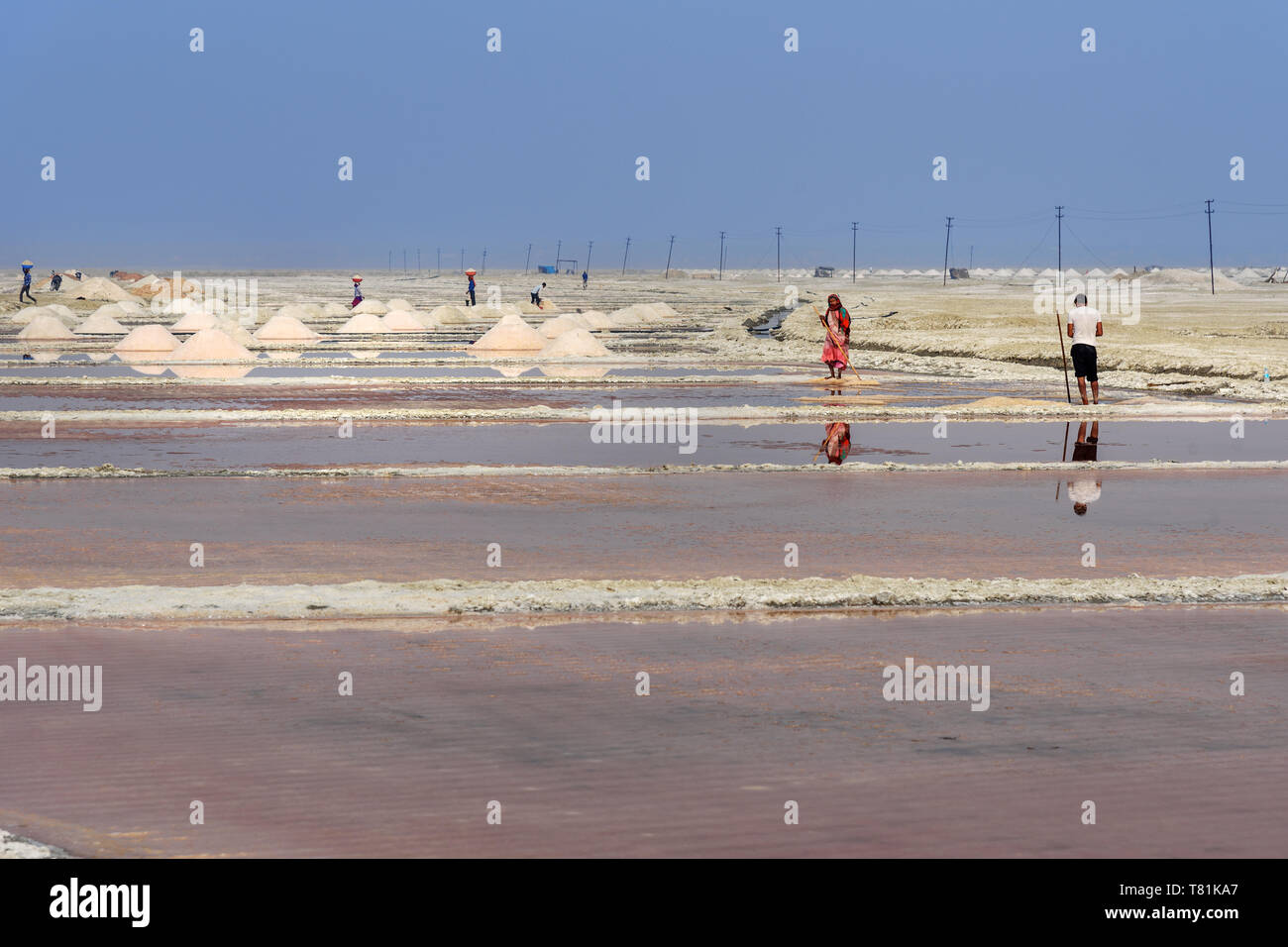 Salt field indian hi-res stock photography and images - Alamy