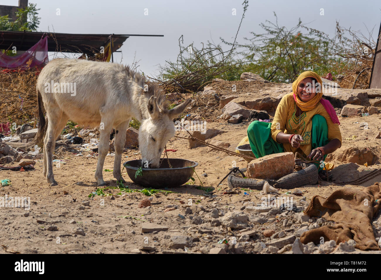 Sambhar, India - February 03, 2019: Indian woman and donkey on the ...