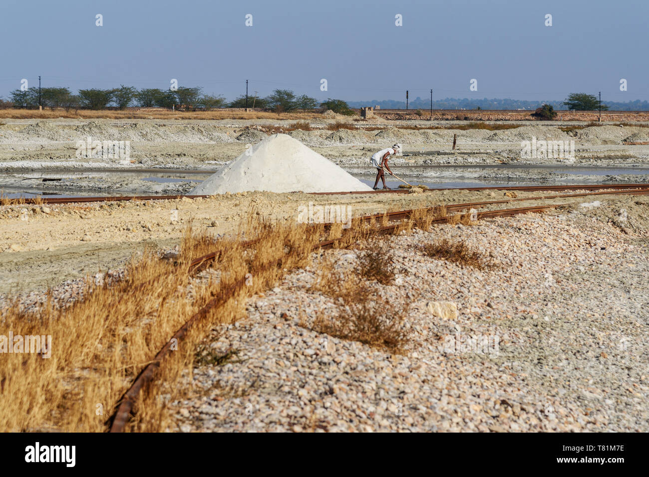 Sambhar, India - February 03, 2019: Indian man mining salt on Sambhar ...
