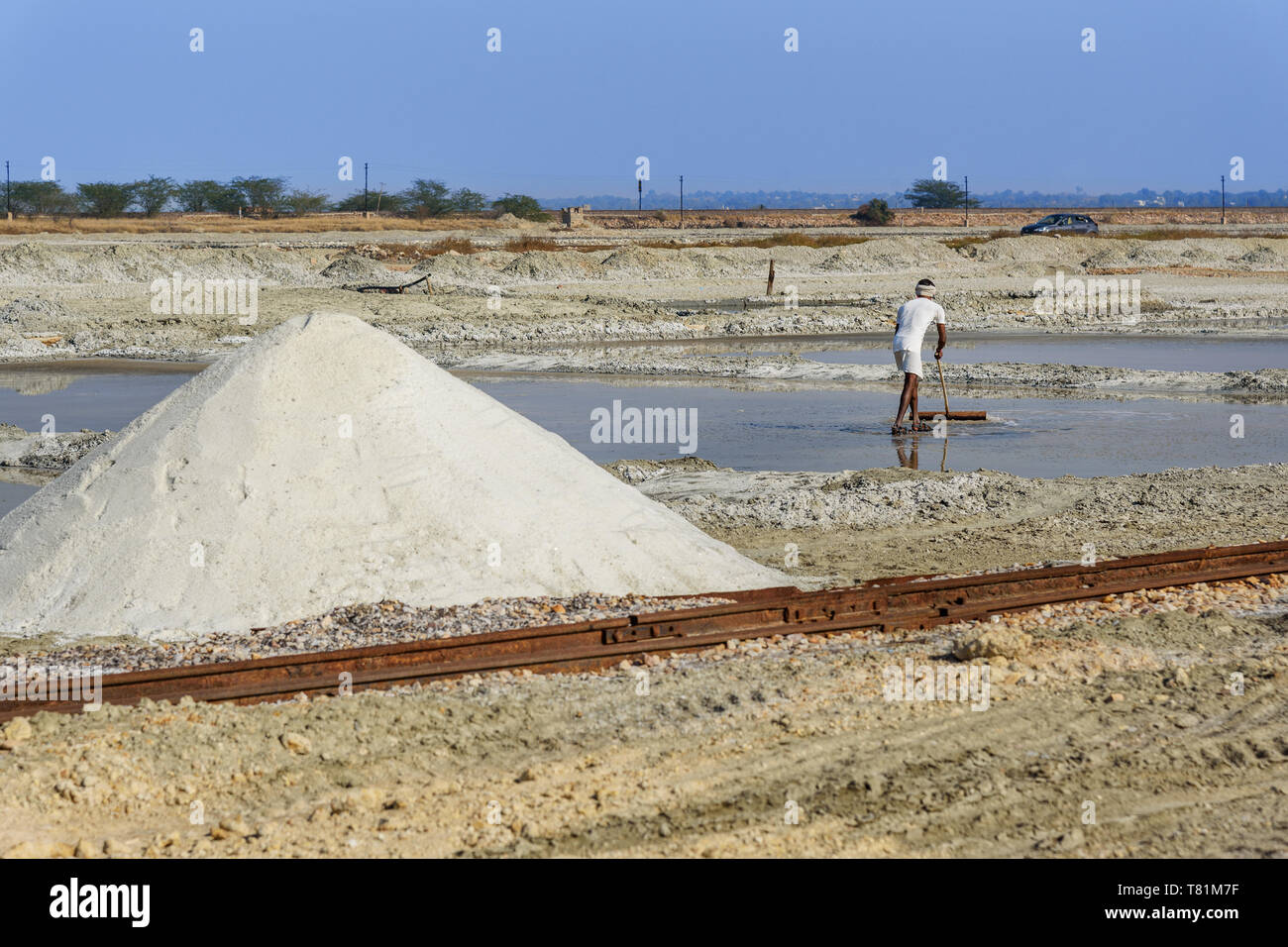 Sambhar, India - February 03, 2019: Indian man mining salt on Sambhar Salt Lake. Rajasthan Stock ...