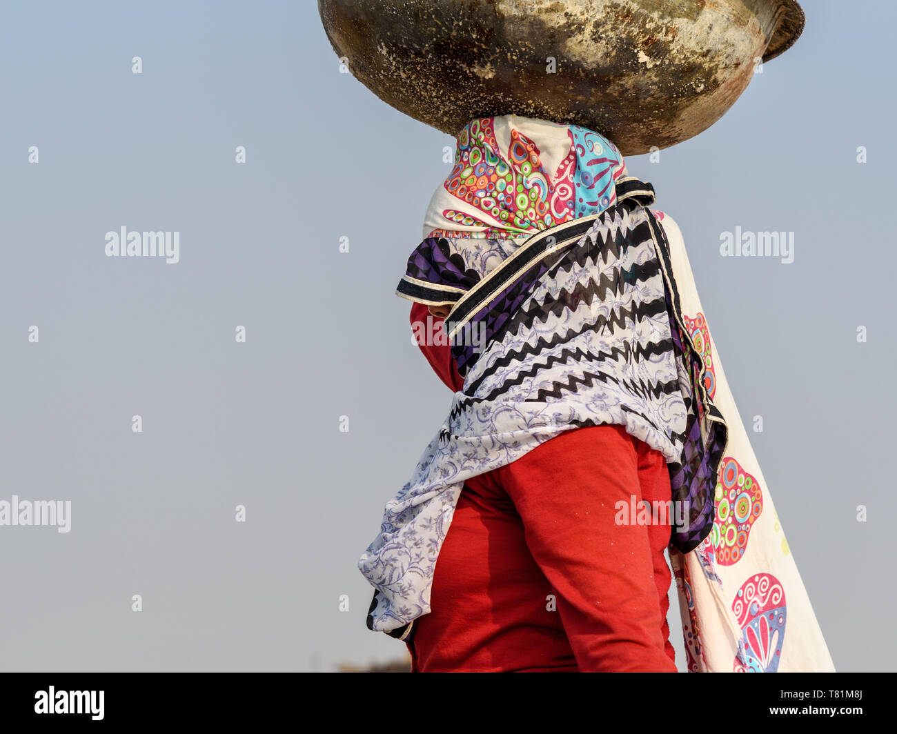 Sambhar, India - February 04, 2019: Portrait of Indian woman carrying ...