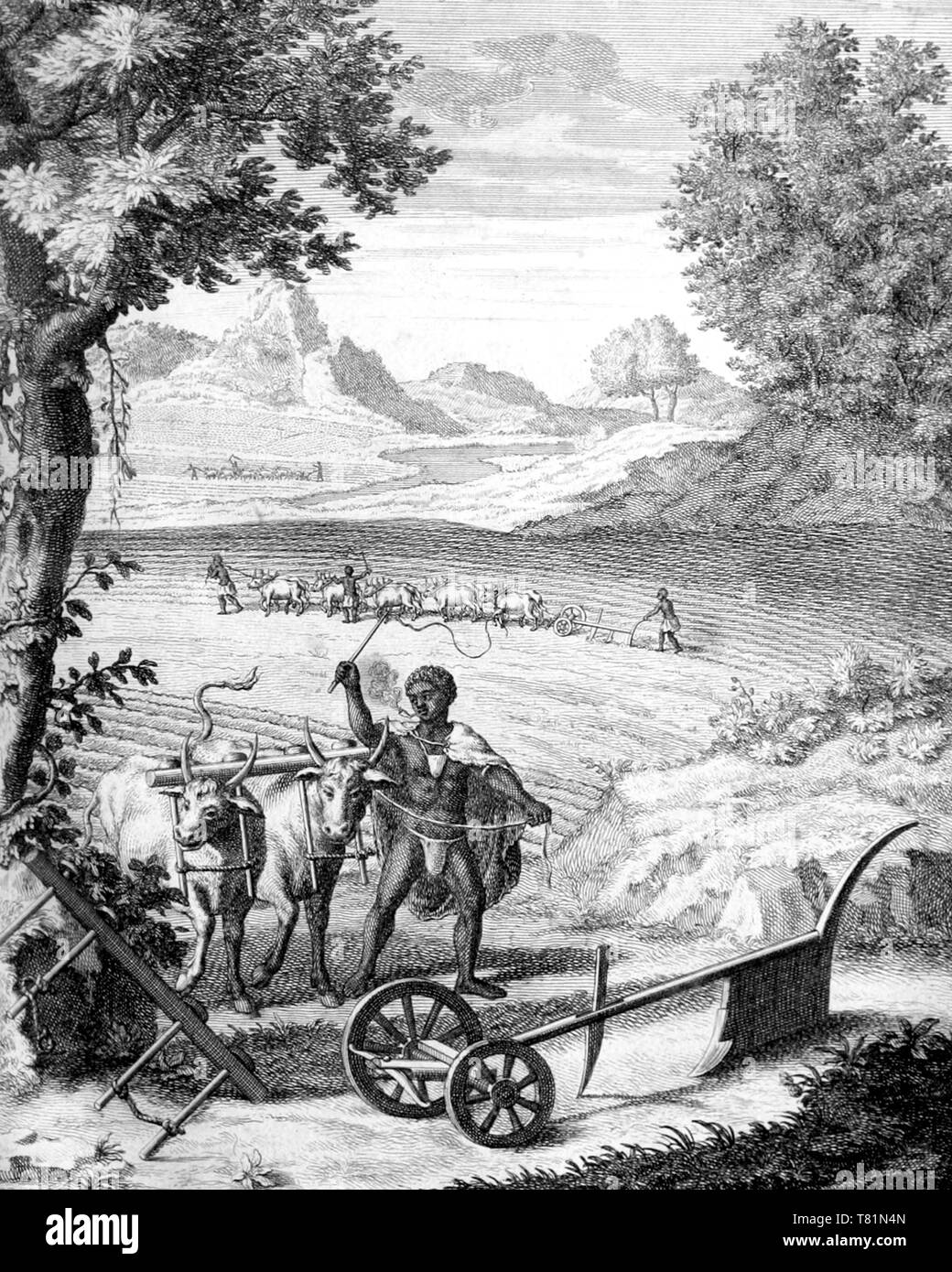 Farming 1700s hi-res stock photography and images - Alamy