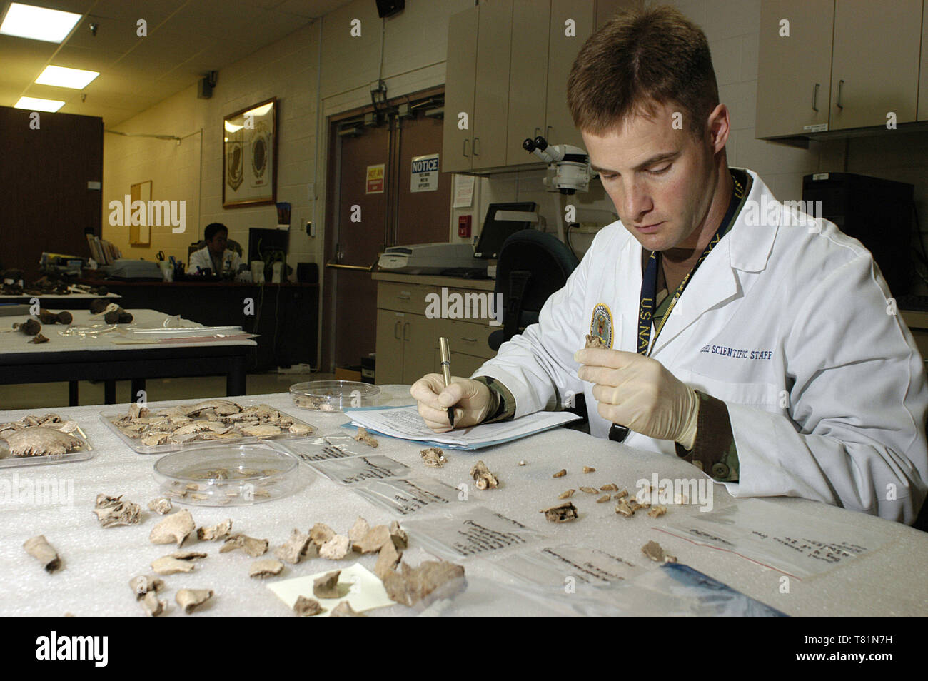 Forensic dentistry hi-res stock photography and images - Alamy