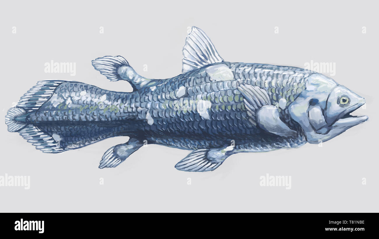 Rare illustration hi-res stock photography and images - Alamy