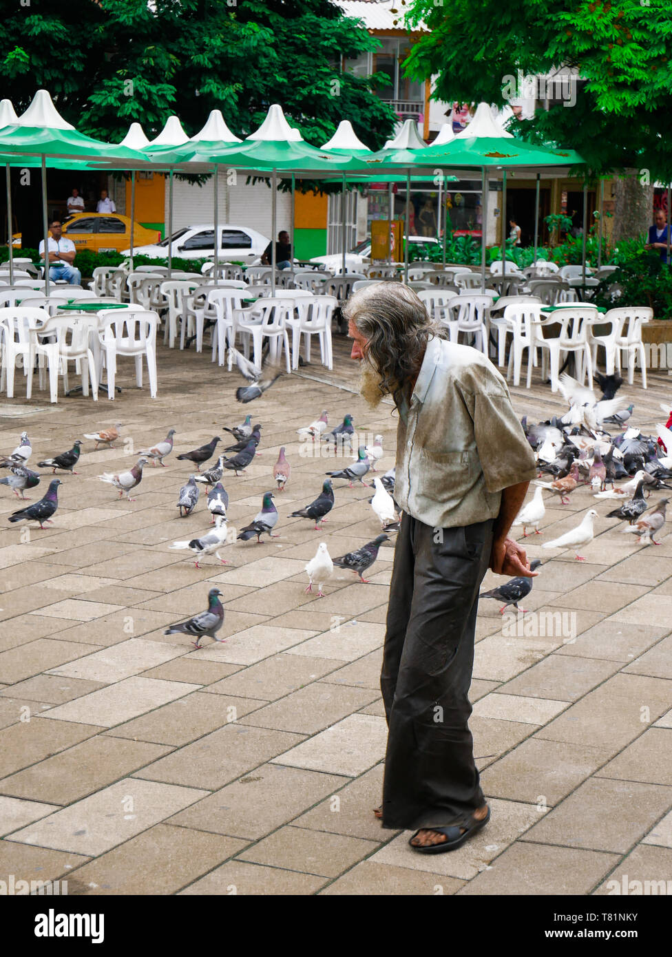 old man homeless wandering around the main park of andes Antioquia with ...