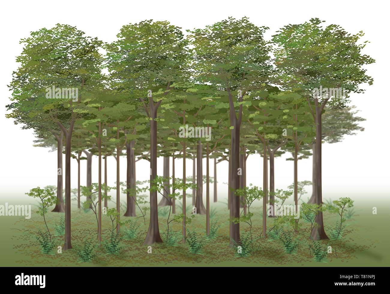 Environment drawing hi-res stock photography and images - Alamy