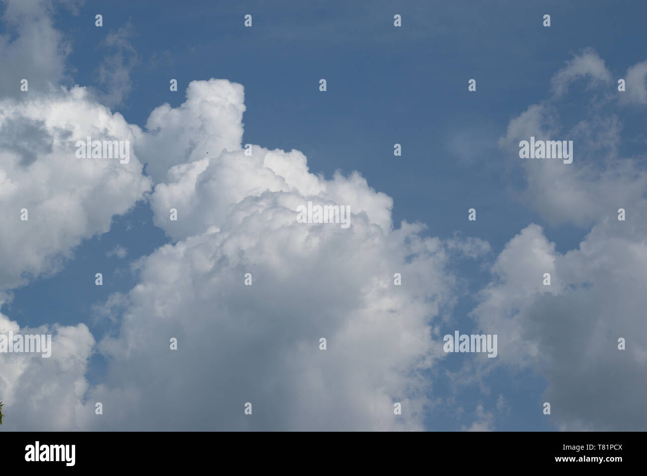 cloud background with tiny bug flying to cloud Stock Photo - Alamy