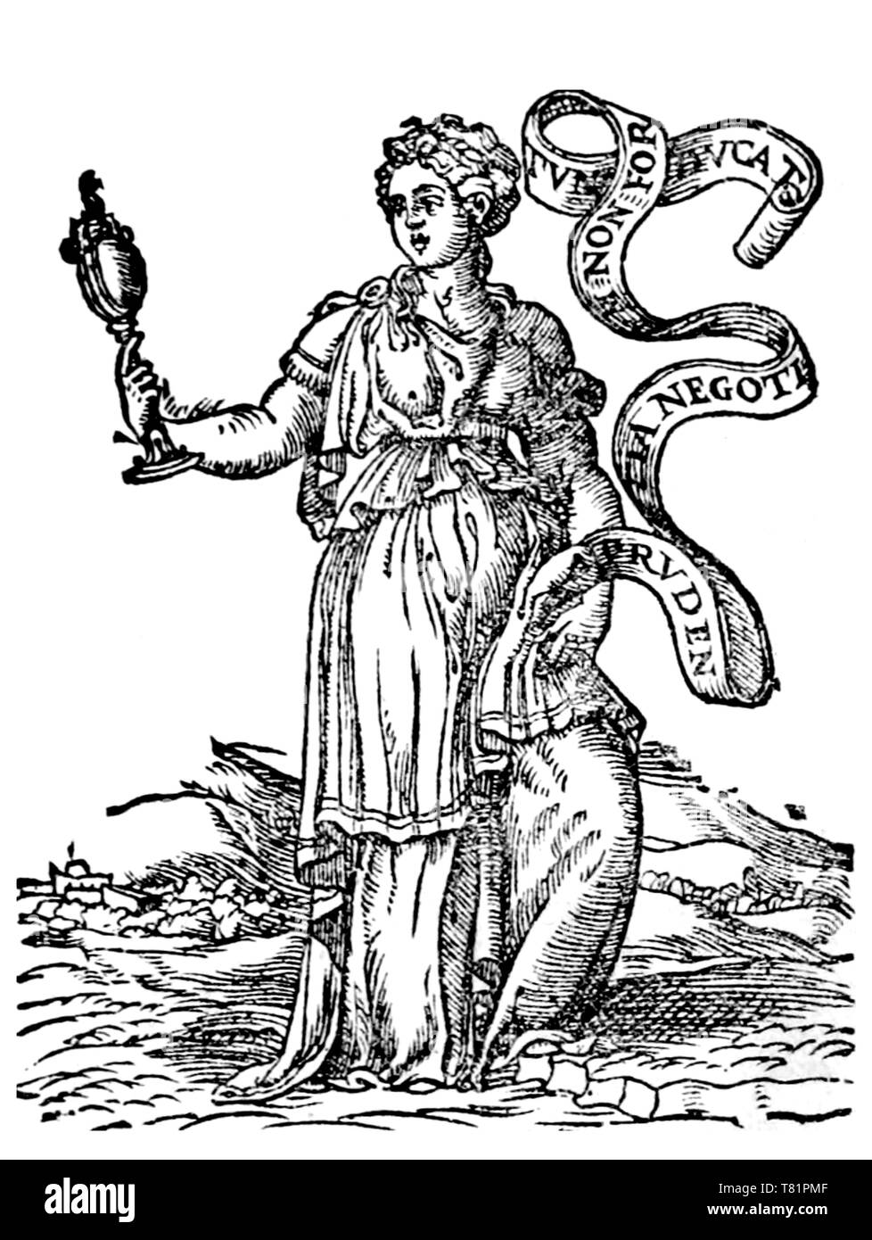 Cortese hi-res stock photography and images - Alamy