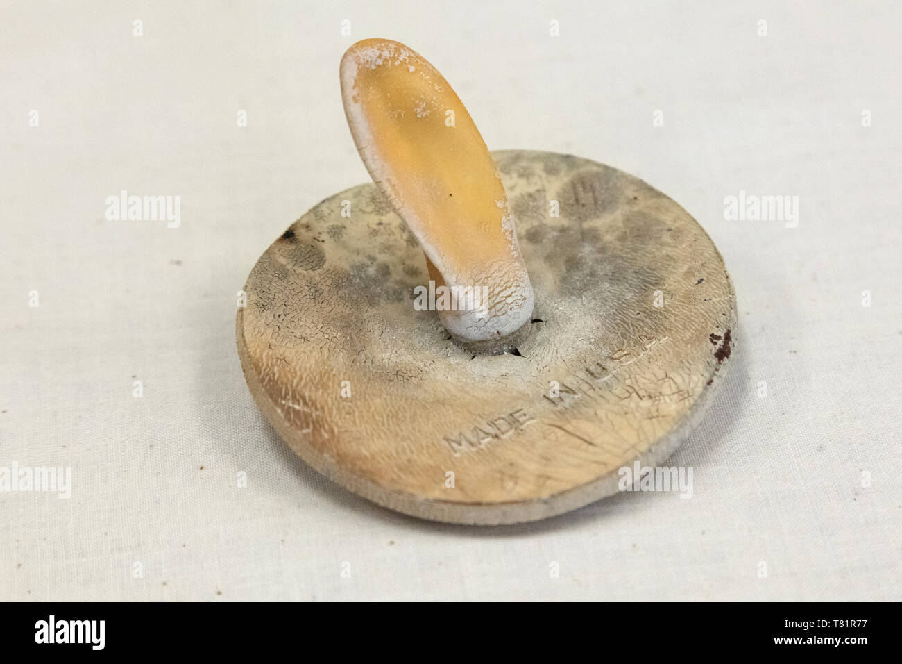 Yellowstone ear spring hi-res stock photography and images - Alamy