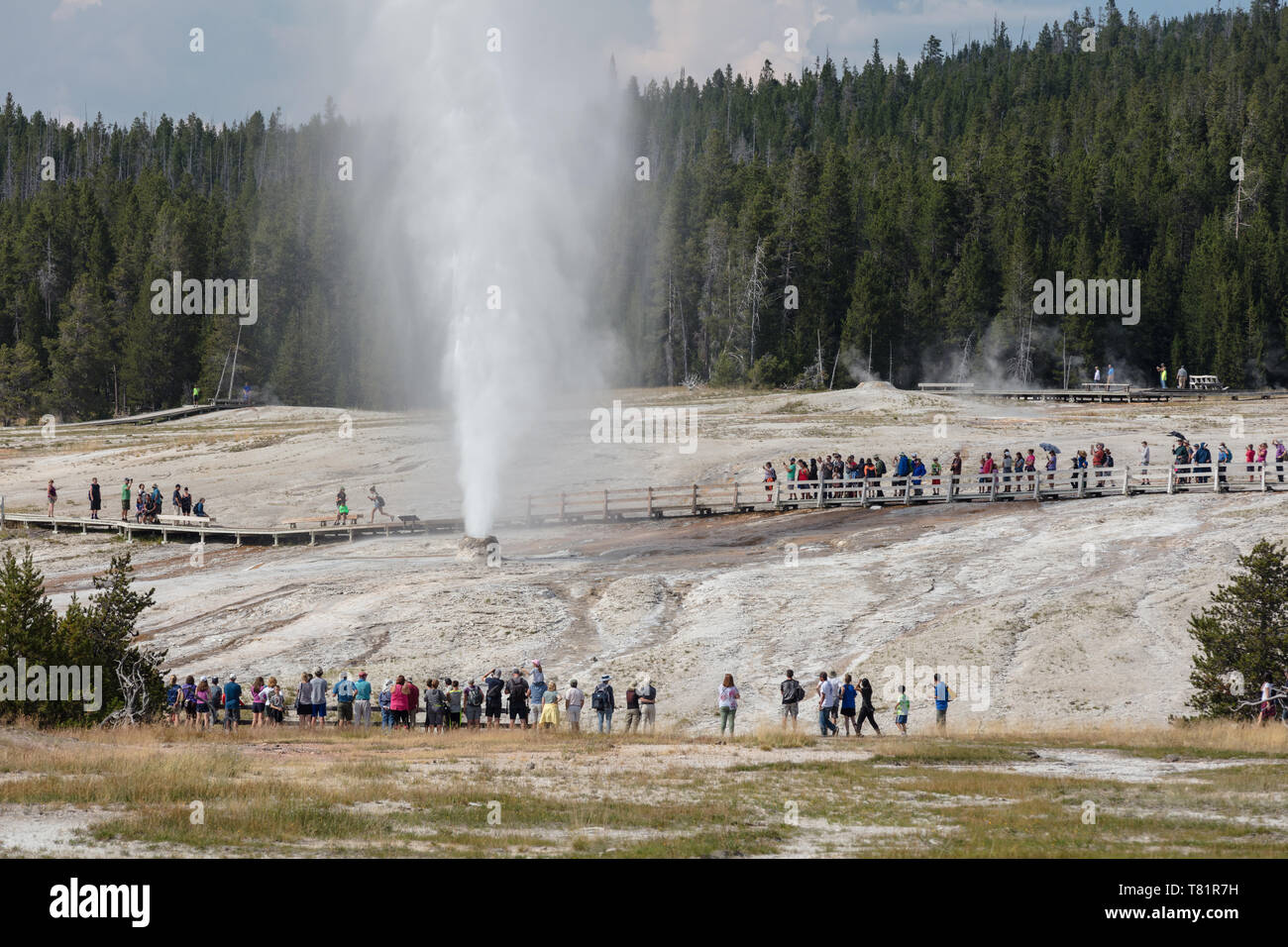 Beehive geyser hi-res stock photography and images - Alamy