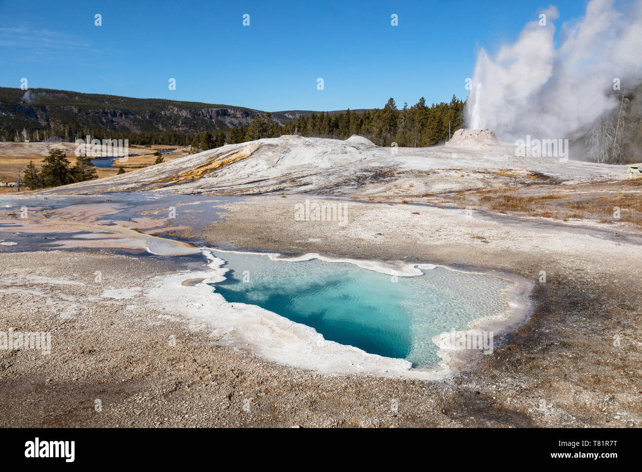 Lion Geyser and Heart Spring Stock Photo - Alamy