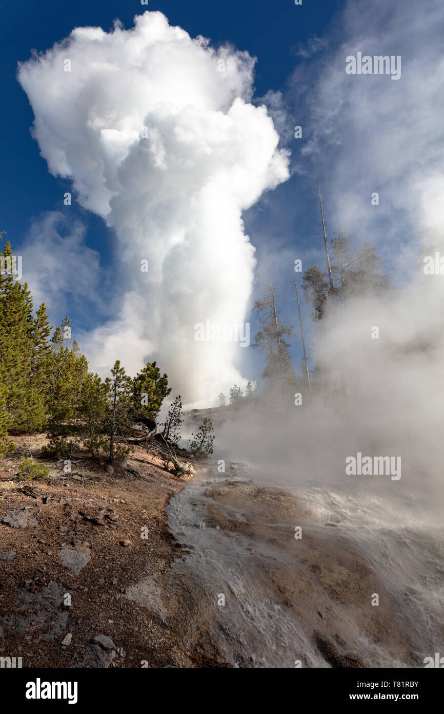 Steamboat geyser yellowstone erupt hi-res stock photography and images ...
