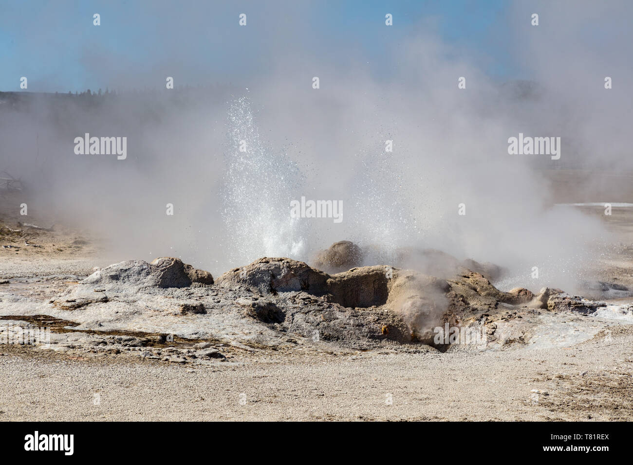 Jet geyser yellowstone hi-res stock photography and images - Alamy