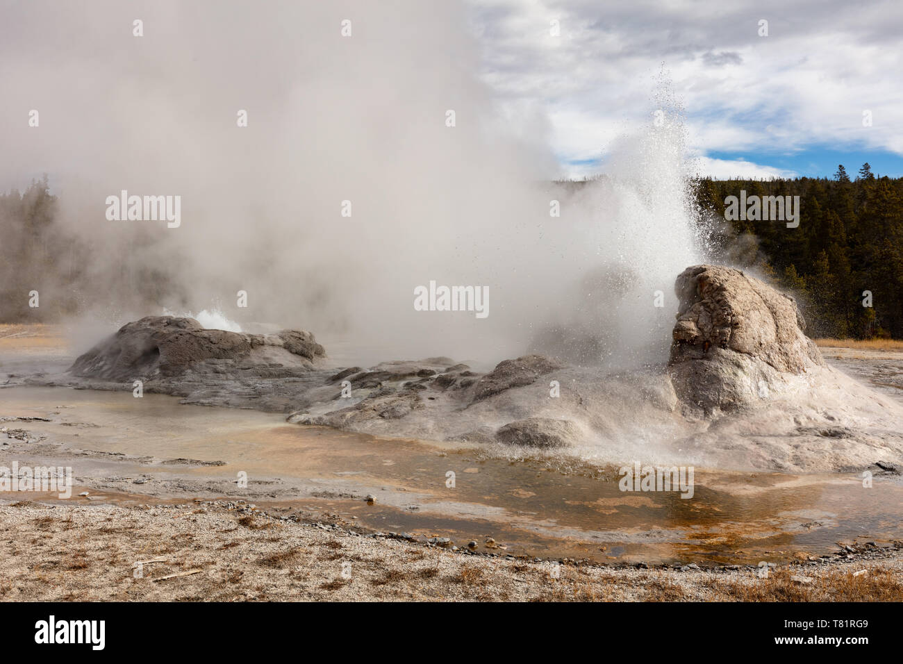 Grotto and Rocket Geysers Stock Photo - Alamy