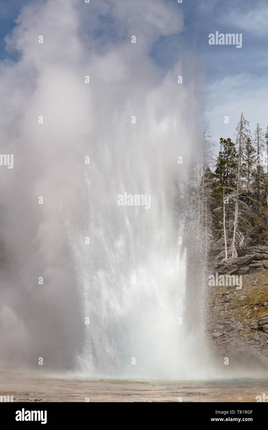 Big geyser hi-res stock photography and images - Alamy