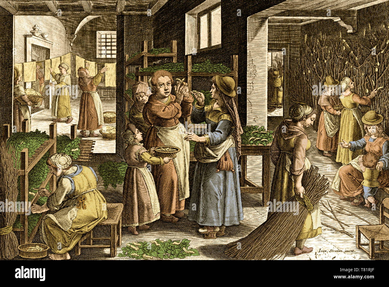 Cultivating Silkworms, Silk Making in Europe, 16th Century Stock Photo ...