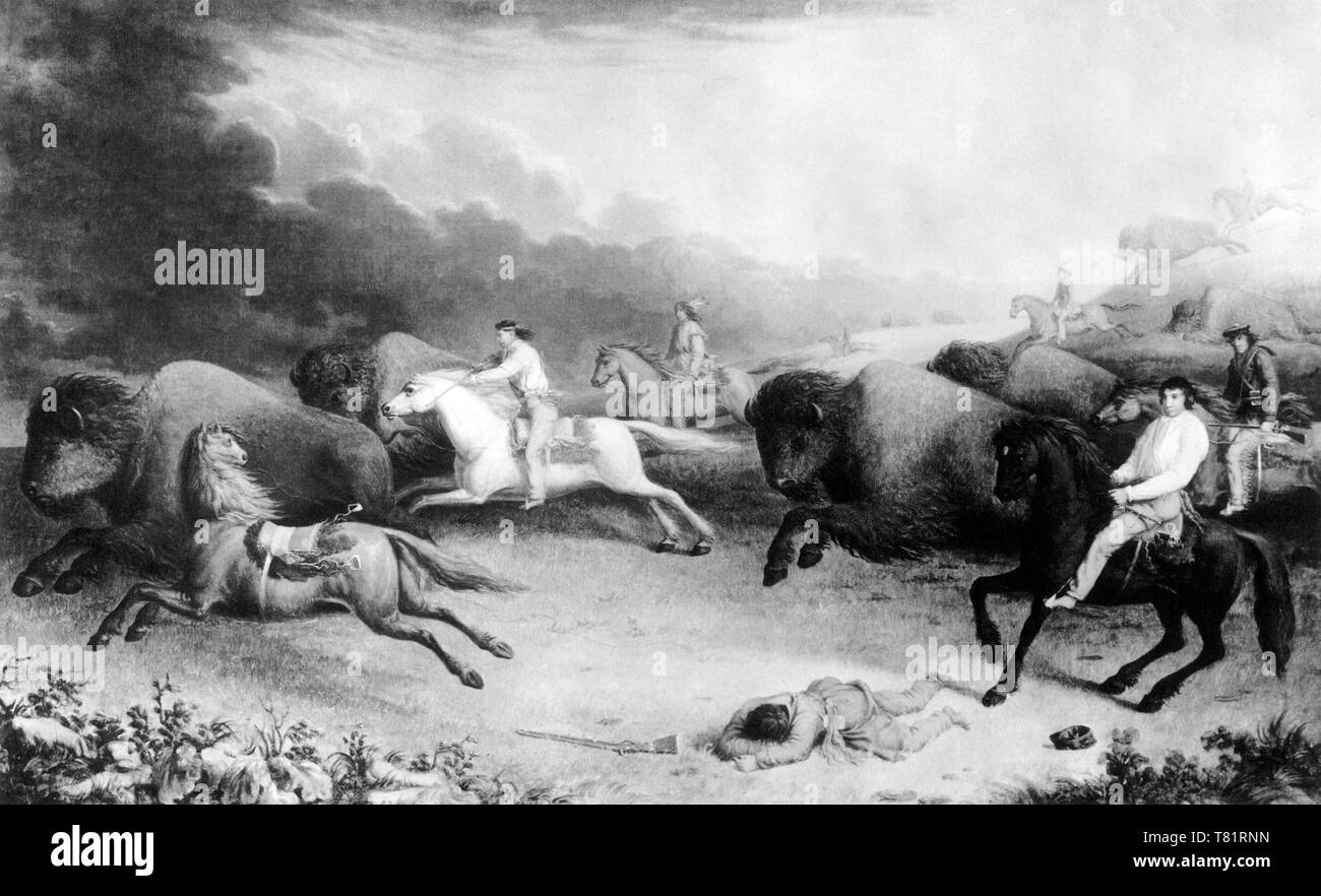 Bison hunt hi-res stock photography and images - Alamy