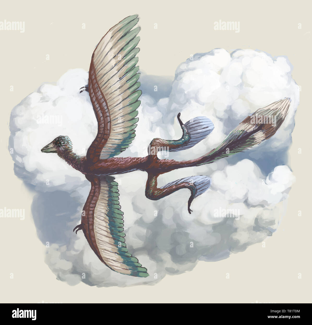 Microraptor dinosaur hi-res stock photography and images - Alamy