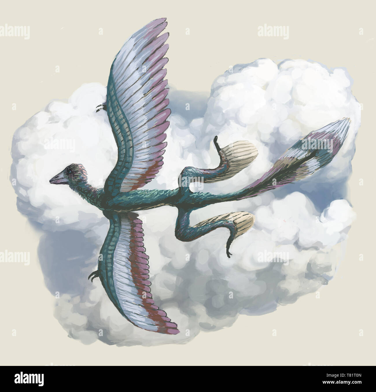 Microraptor dinosaur hi-res stock photography and images - Alamy