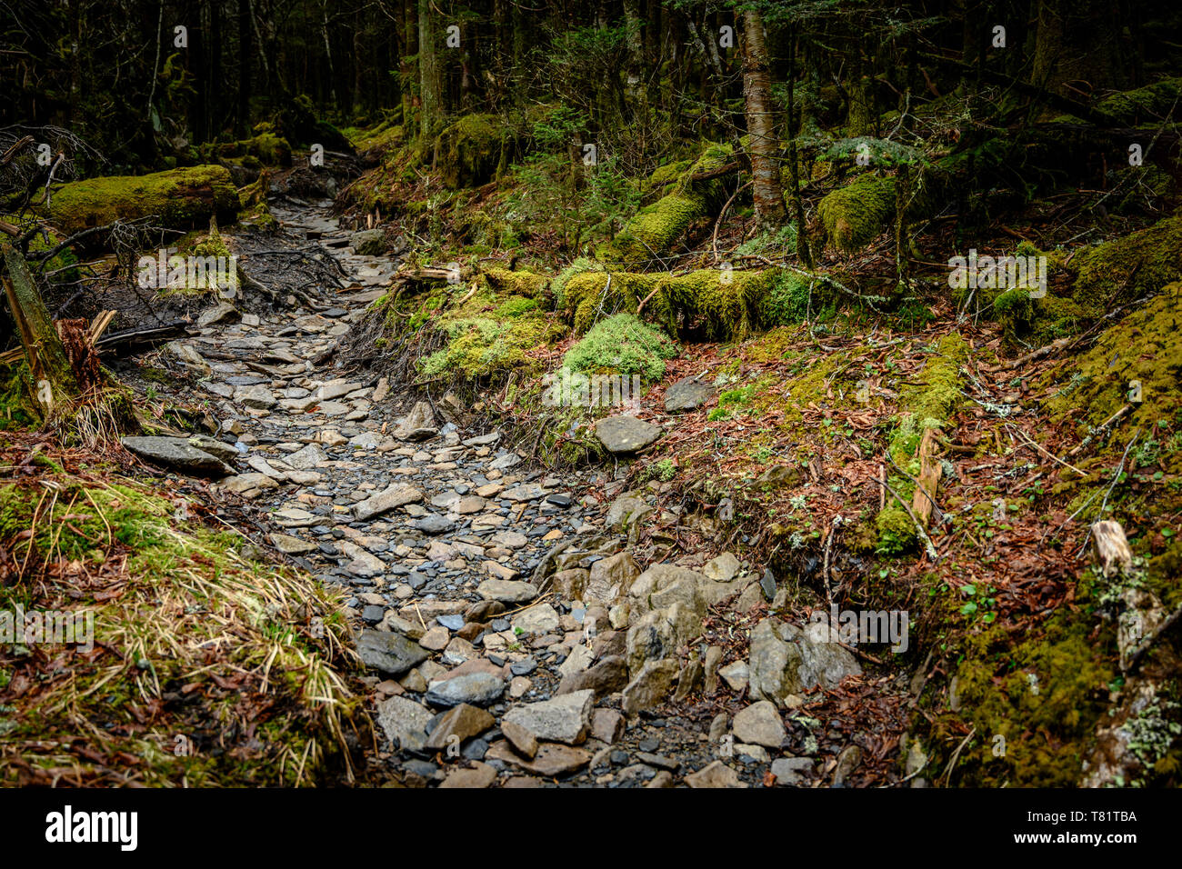 Natural pathway cuts through hi-res stock photography and images - Alamy