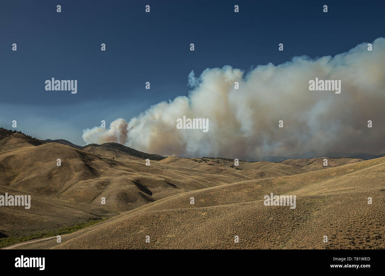 Rabbit fire hi-res stock photography and images - Alamy