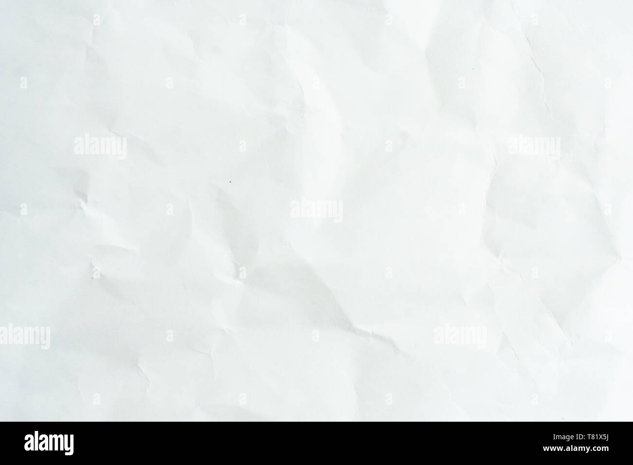 White Matte Paper Texture