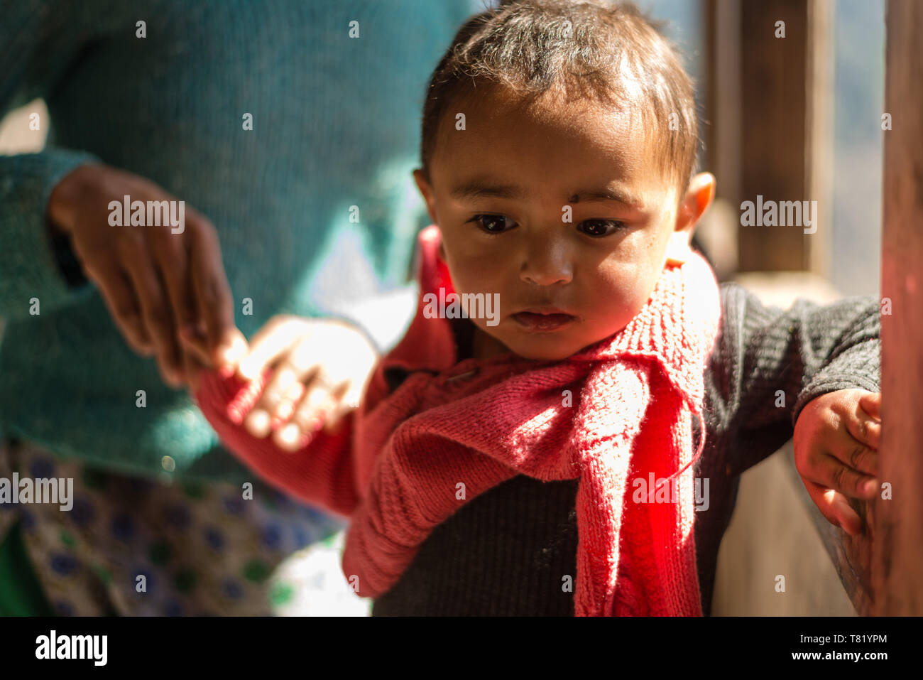 Kullu, Himachal Pradesh, India - April 01, 2019 : Portrait of Himalayan ...