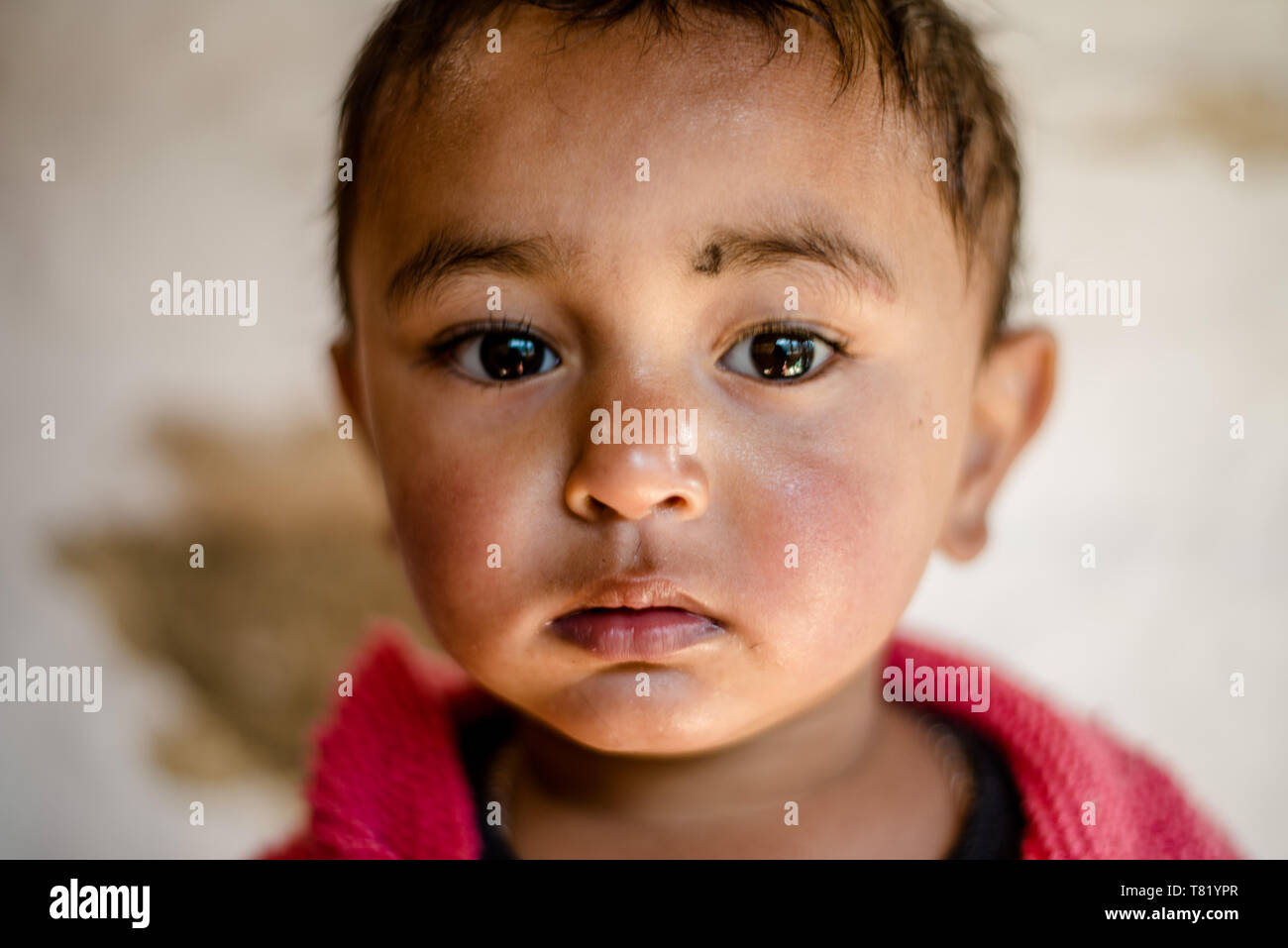 Kullu, Himachal Pradesh, India - April 01, 2019 : Portrait of Himalayan ...