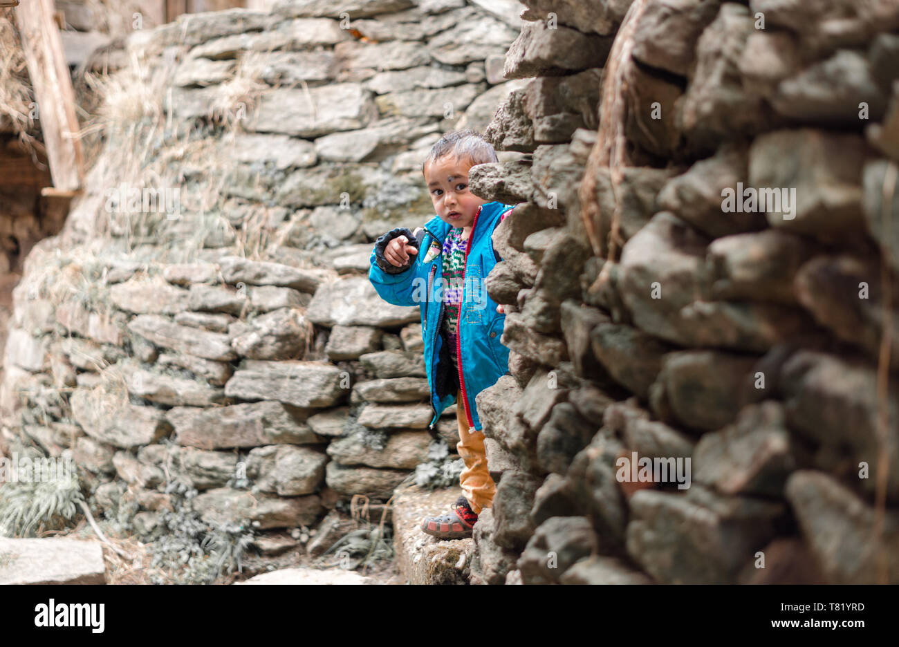 Kullu, Himachal Pradesh, India - April 01, 2019 : Portrait of Himalayan ...