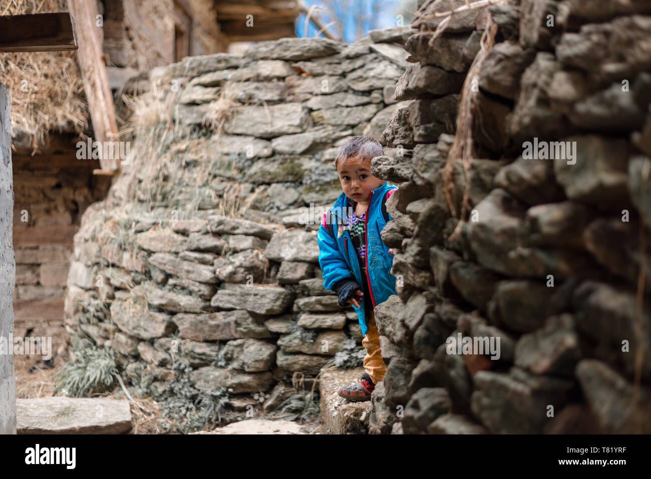 Kullu, Himachal Pradesh, India - April 01, 2019 : Portrait of Himalayan ...