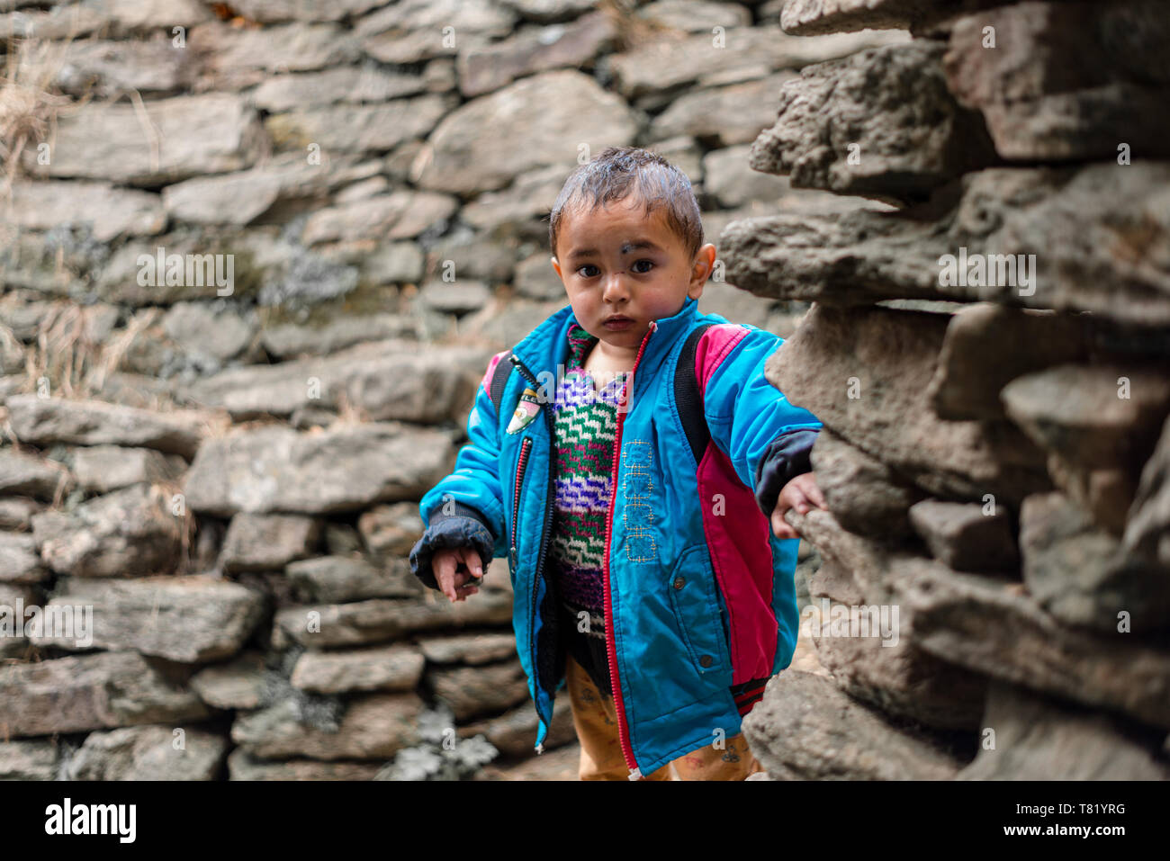 Kullu, Himachal Pradesh, India - April 01, 2019 : Portrait of Himalayan ...