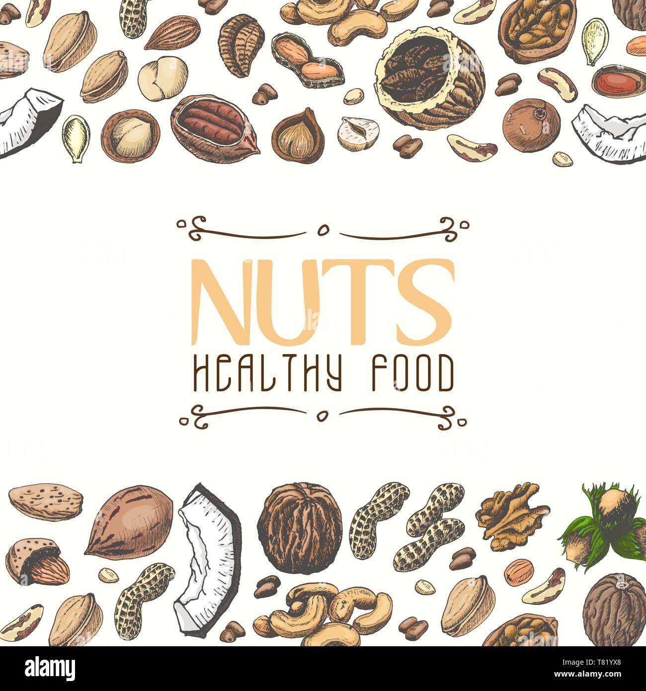Horizontal seamless background with colored nuts and seeds. Vector ...