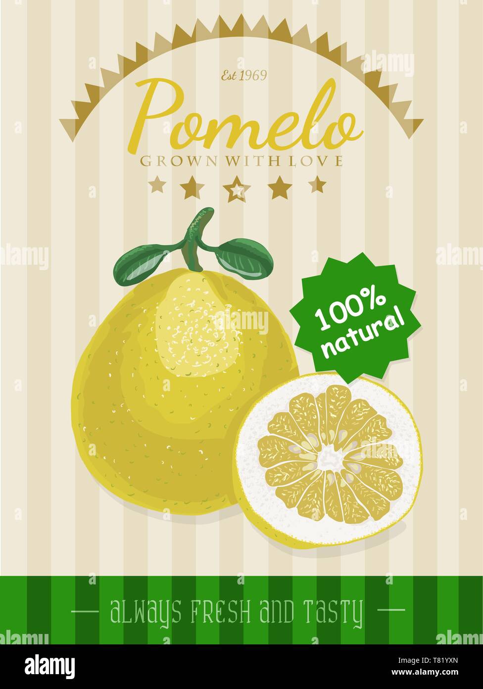 Vector poster with a pomelo. Vector illustration for your design Stock ...