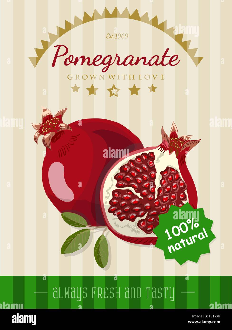 Vector poster with a pomegranate. Vector illustration for your design ...