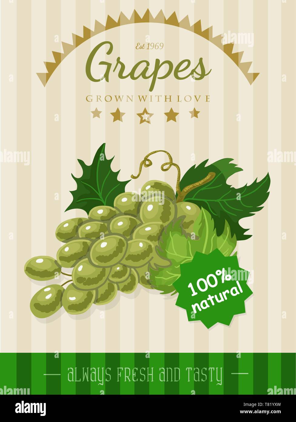 Vector poster with a grapes. Vector illustration for your design Stock ...